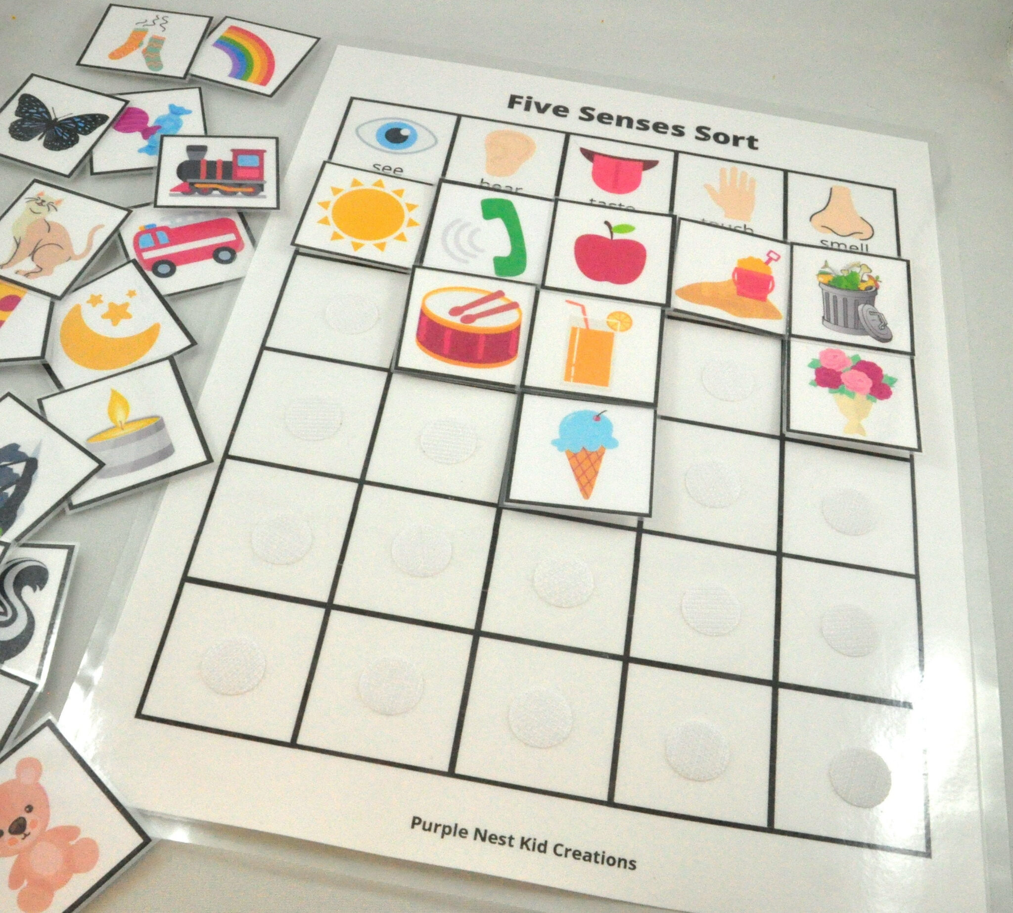All About Me Sorting Worksheet | All About Me Worksheets